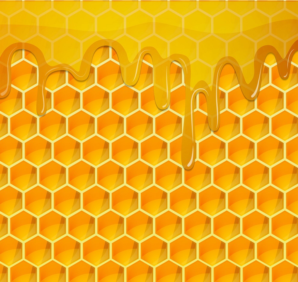 KUPUJEMO MED U SAĆU 8 EVRA ZA KILOGRAM - Savez pčelarskih organizacija ...